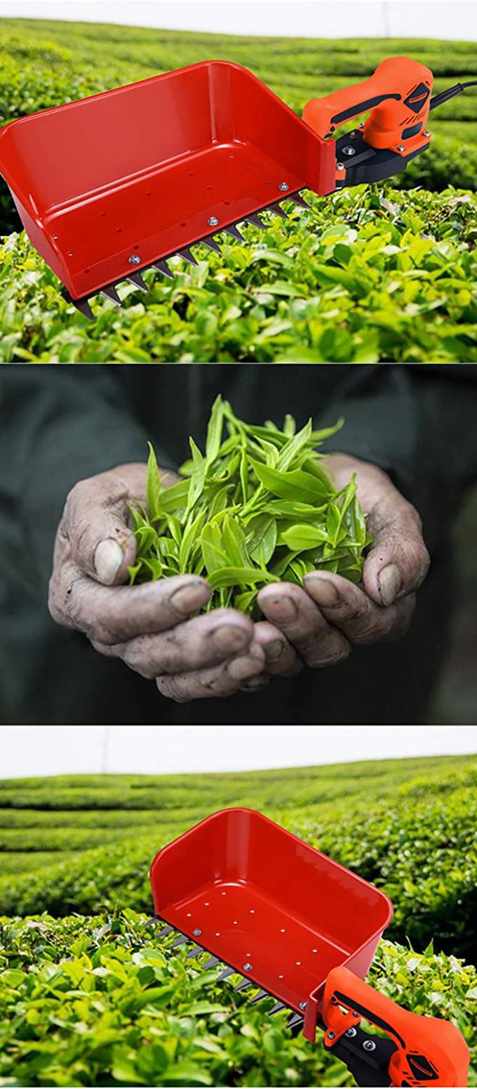 600W 1500S/MIN Tea Picking Machine